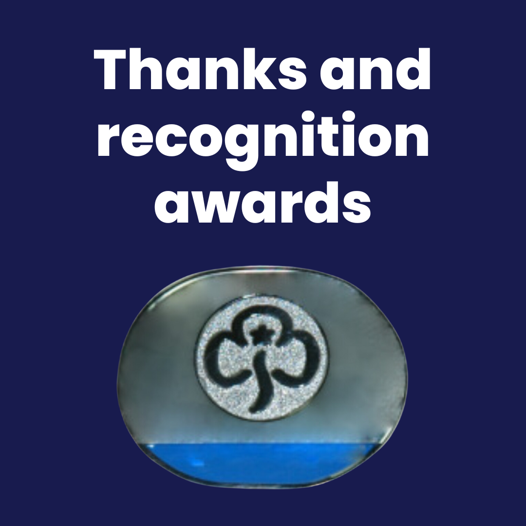 National awards - Girlguiding Norfolk