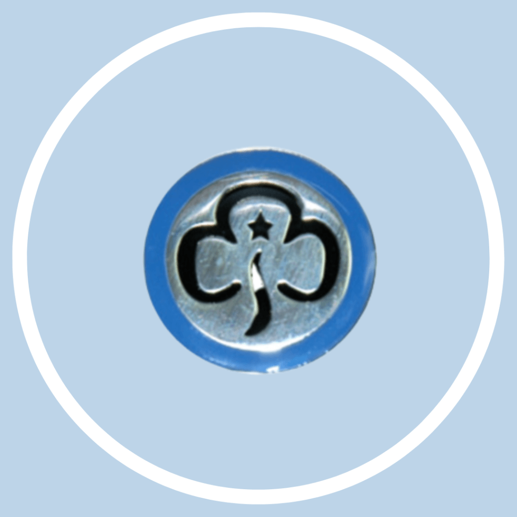 Good Service Brooch and Certificate - Buckinghamshire County Girlguiding